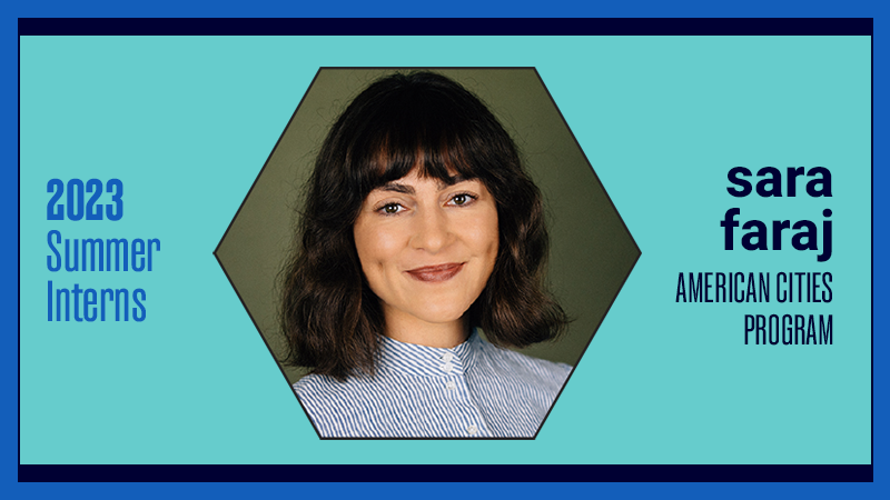 Summer at Kresge: Intern sara faraj works on fostering more inclusive social systems - Kresge ...